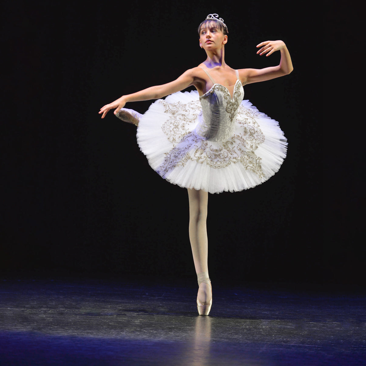 Raymonda Classical Tutu Rental – Tutu Theatre